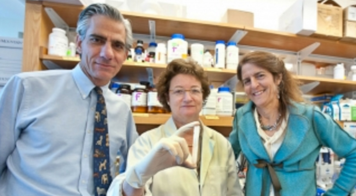 Development of Luxturna Gene Therapy - Milestones In Retina